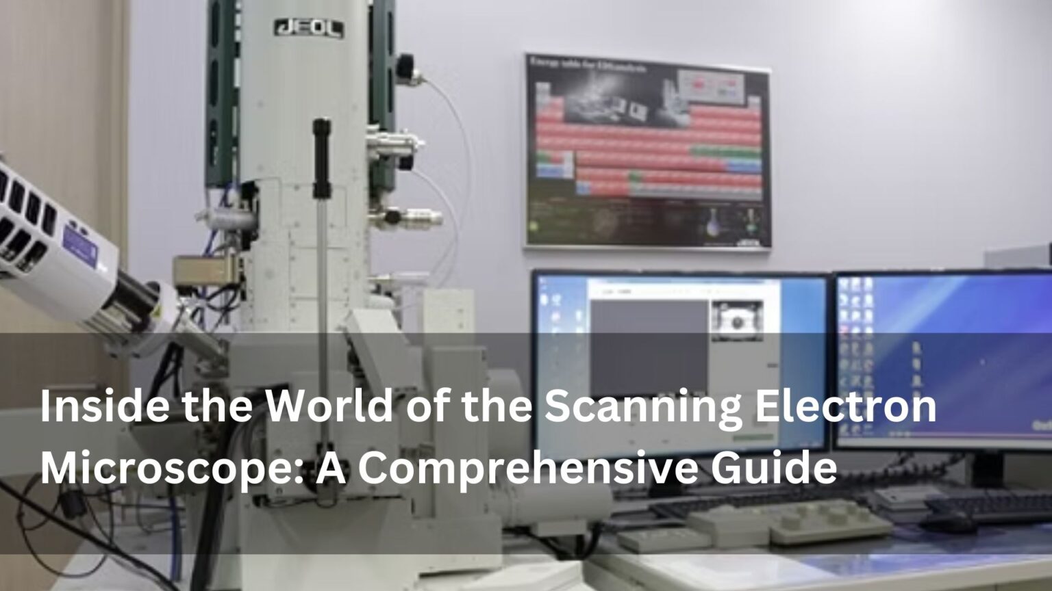 Unlocking the Microscopic World: The Power of Scanning Electron Microscopes